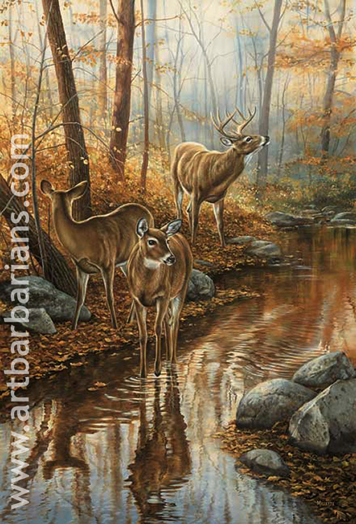 Wildlife art prints plus original paintings with a wide selection from ...
