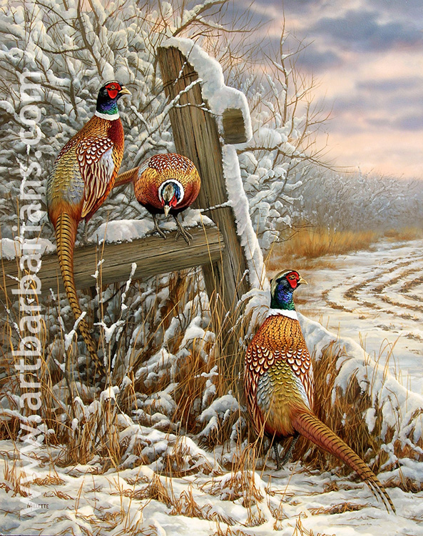 Wildlife art prints plus original paintings with a wide selection from ...