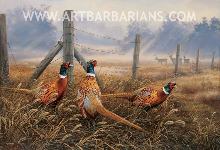 Wildlife art prints plus original paintings with a wide selection from ...