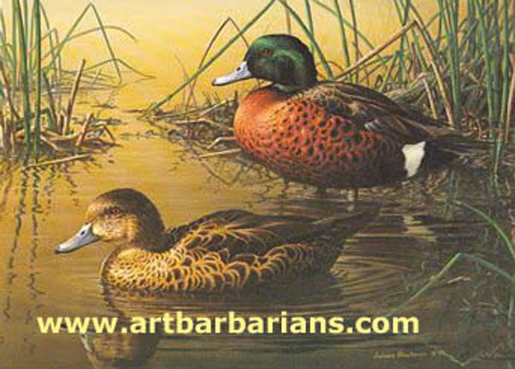 Wildlife art prints plus original paintings with a wide selection from ...