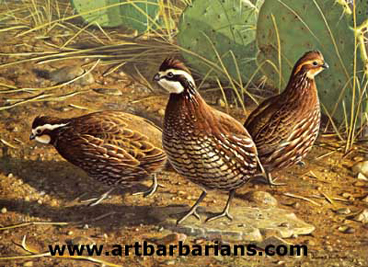 Wildlife art prints plus original paintings with a wide selection from ...