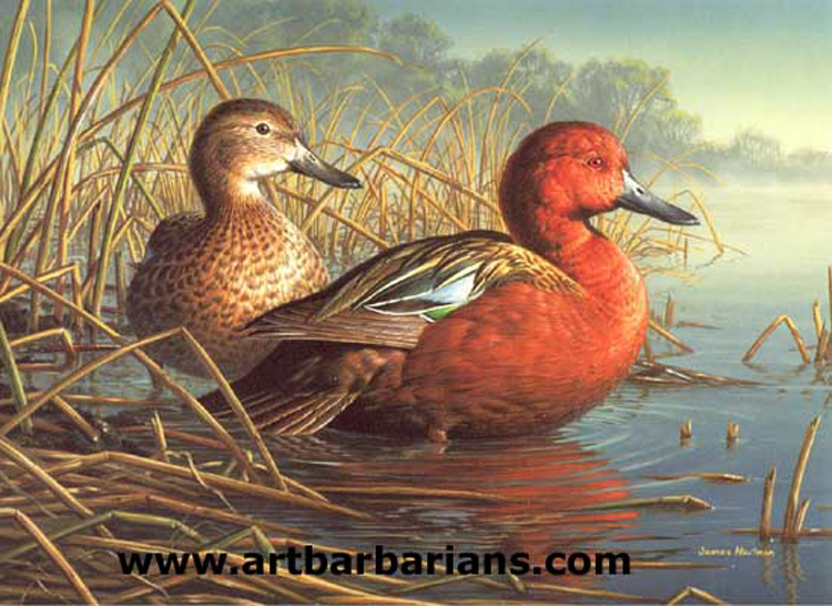 Wildlife art prints plus original paintings with a wide selection from ...