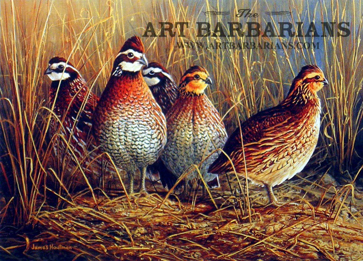 Wildlife art prints plus original paintings with a wide selection from ...