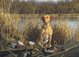 Wildlife art prints plus original paintings with a wide selection from ...