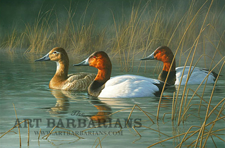 Wildlife art prints plus original paintings with a wide selection from ...
