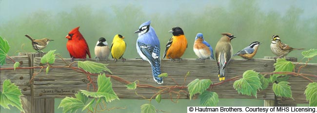 Wildlife art prints plus original paintings with a wide selection from ...