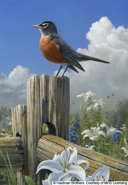 Wildlife art prints plus original paintings with a wide selection from ...
