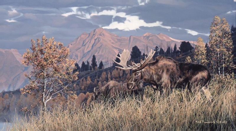 Wildlife art prints plus original paintings with a wide selection from ...