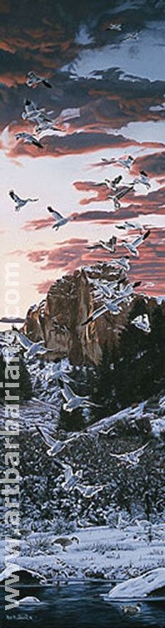 Wildlife art prints plus original paintings with a wide selection from ...