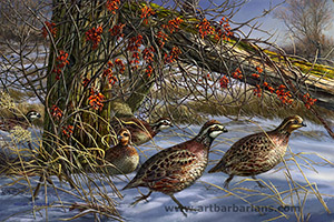 Wildlife art prints plus original paintings with a wide selection from ...