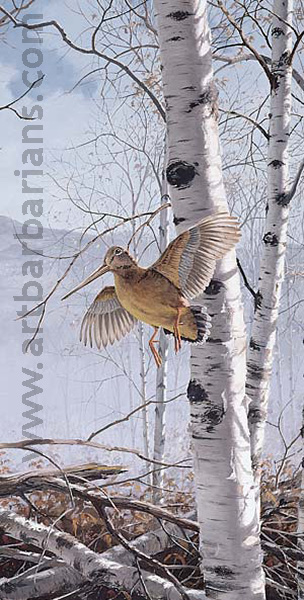 Wildlife art prints plus original paintings with a wide selection from ...