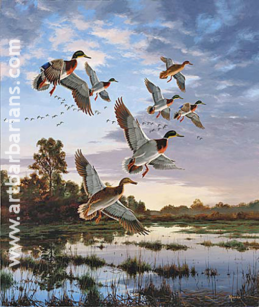 Wildlife art prints plus original paintings with a wide selection from ...