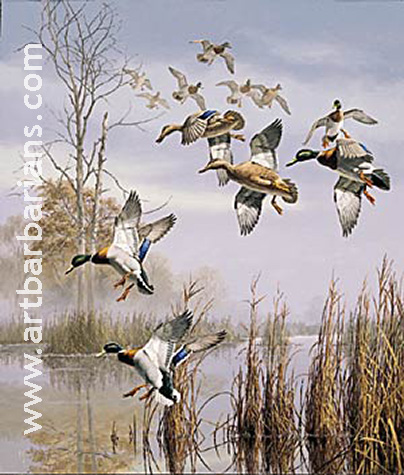 Wildlife art prints plus original paintings with a wide selection from ...