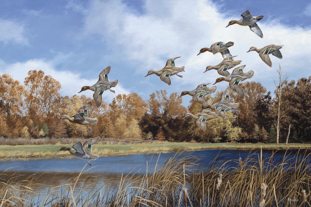 Wildlife art prints plus original paintings with a wide selection from ...