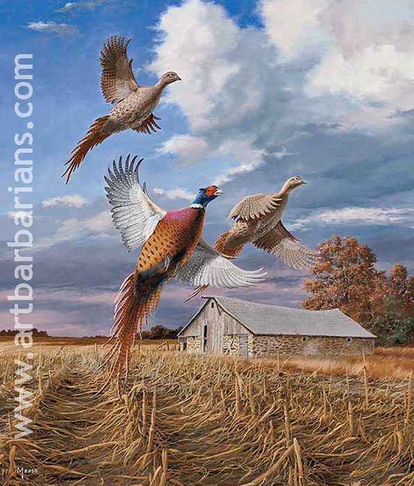 Wildlife art prints plus original paintings with a wide selection from ...