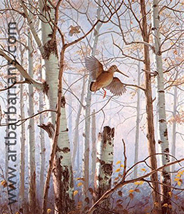 Wildlife art prints plus original paintings with a wide selection from ...