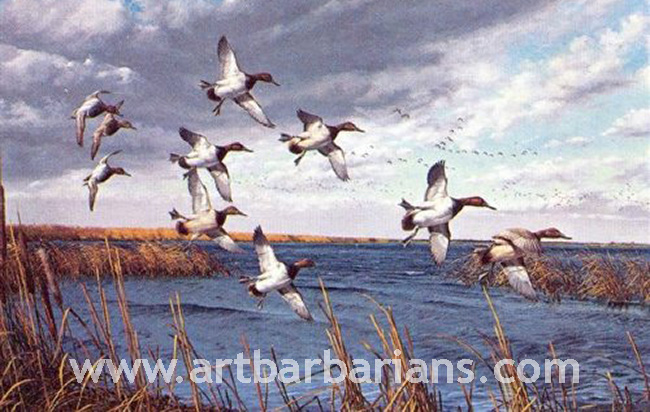 Wildlife art prints plus original paintings with a wide selection from ...