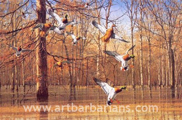 Wildlife art prints plus original paintings with a wide selection from ...