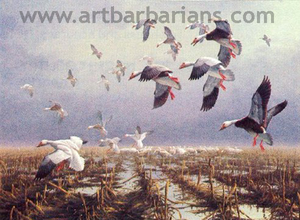 Wildlife art prints plus original paintings with a wide selection from ...