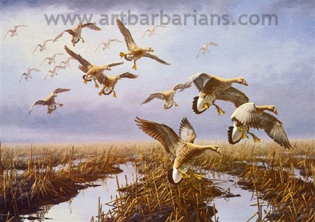 Wildlife art prints plus original paintings with a wide selection from ...