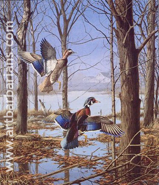 Wildlife art prints plus original paintings with a wide selection from ...