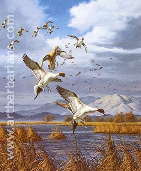 Wildlife art prints plus original paintings with a wide selection from ...