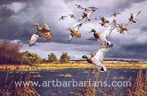 Wildlife art prints plus original paintings with a wide selection from ...