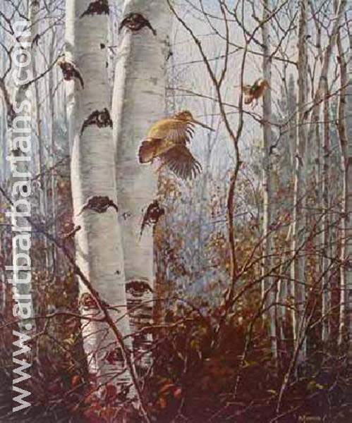 Wildlife art prints plus original paintings with a wide selection from ...