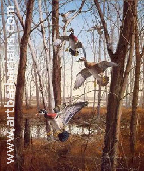 Wildlife art prints plus original paintings with a wide selection from ...