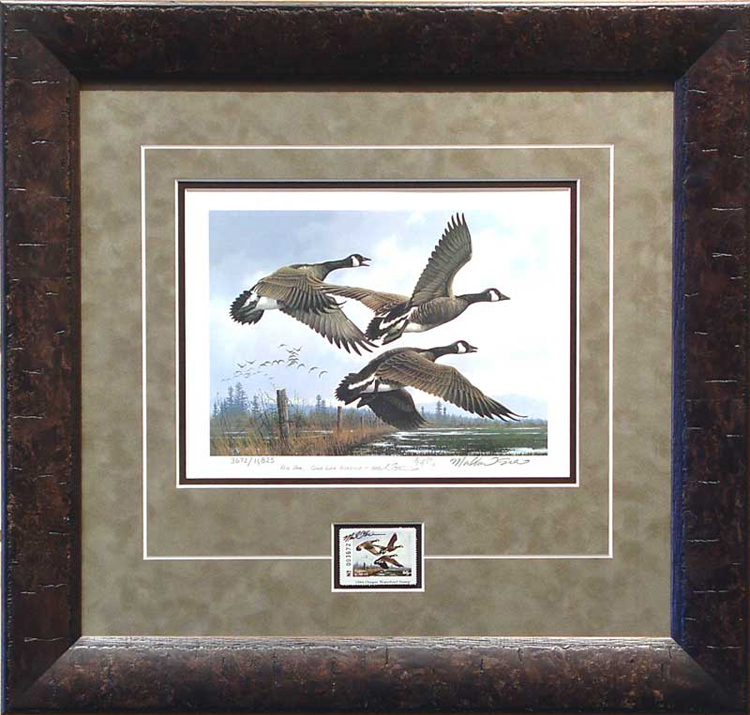 Wildlife art prints plus original paintings with a wide selection from ...