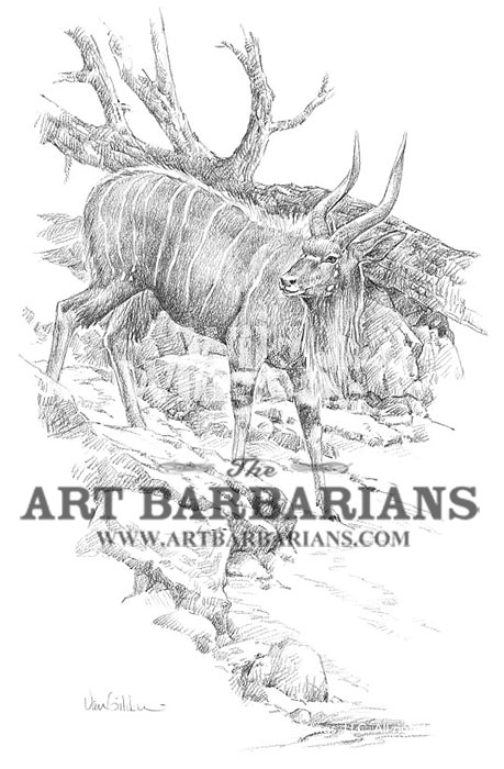 Wildlife art prints plus original paintings with a wide selection from ...