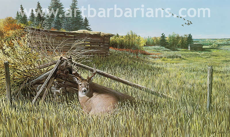 Wildlife art prints plus original paintings with a wide selection from ...
