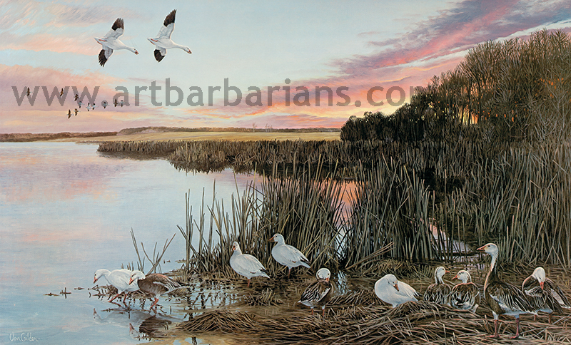 Wildlife art prints plus original paintings with a wide selection from ...