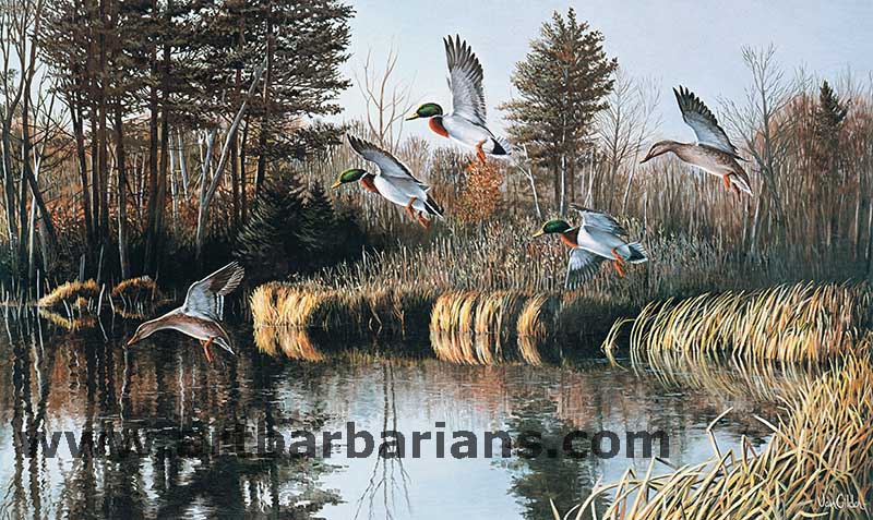 Wildlife art prints plus original paintings with a wide selection from ...