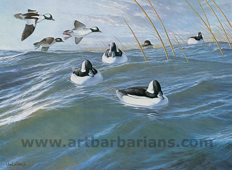 Wildlife art prints plus original paintings with a wide selection from ...