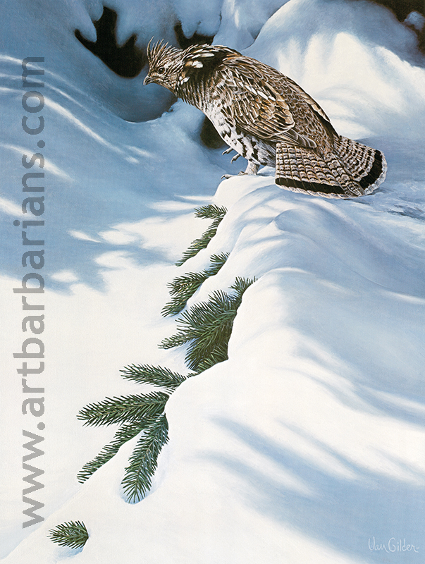 Wildlife art prints plus original paintings with a wide selection from ...