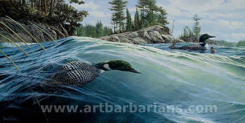 Common Loon Painting