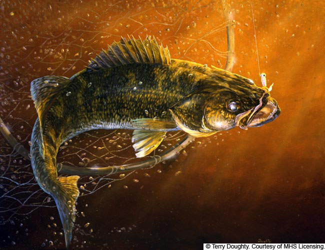 Wildlife art prints plus original paintings with a wide selection from ...