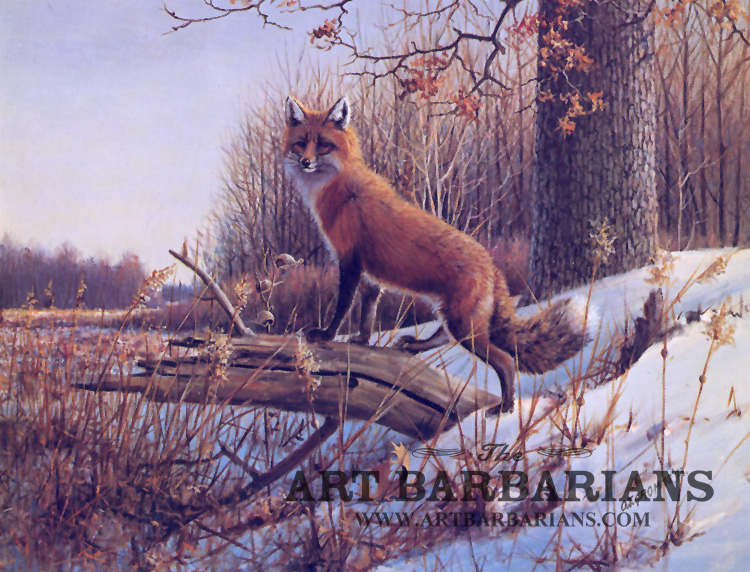 Wildlife art prints plus original paintings with a wide selection from ...