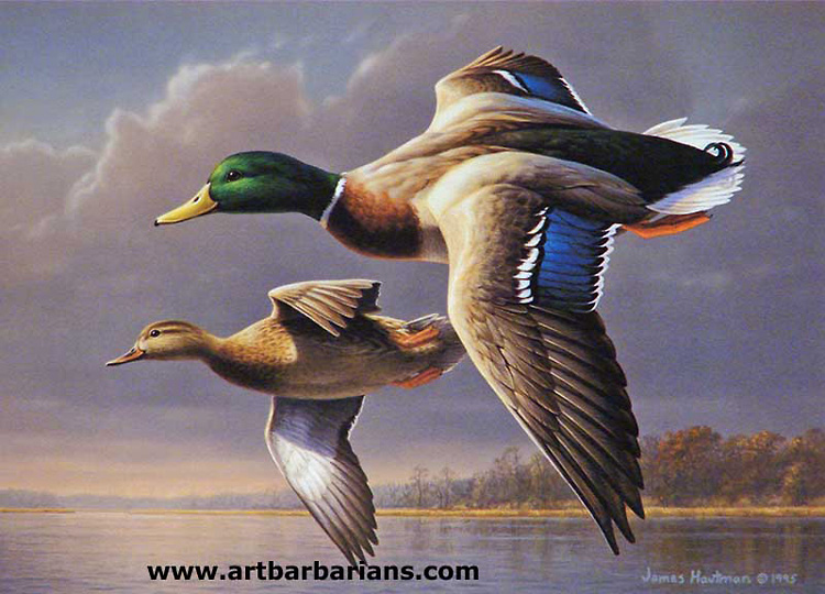 Wildlife art prints plus original paintings with a wide selection from ...