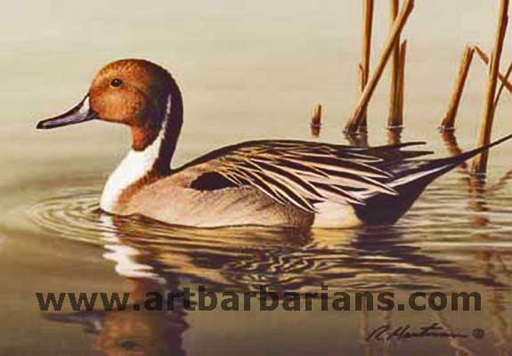Wildlife art prints plus original paintings with a wide selection from ...