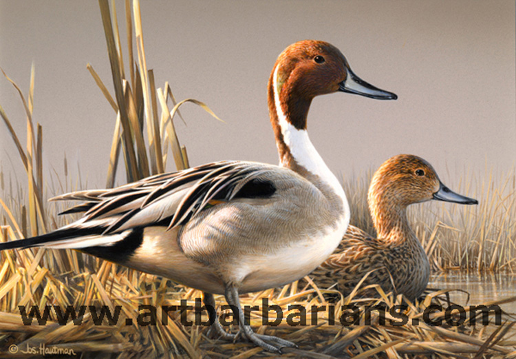 Wildlife art prints plus original paintings with a wide selection from ...