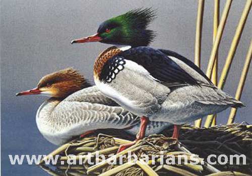Wildlife art prints plus original paintings with a wide selection from ...