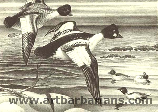 Wildlife art prints plus original paintings with a wide selection from ...