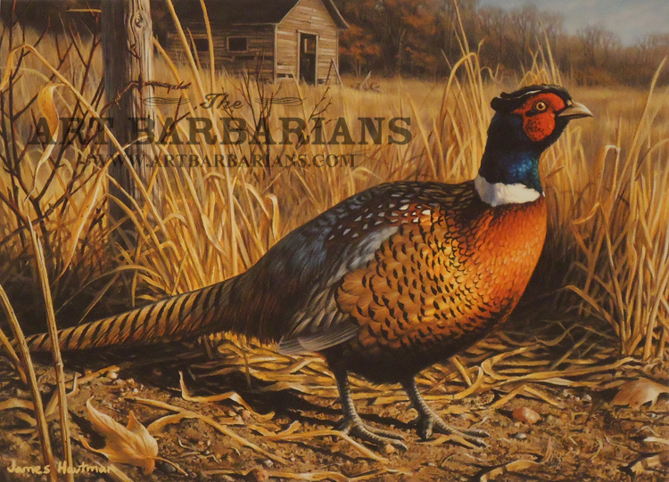 Wildlife art prints plus original paintings with a wide selection from ...