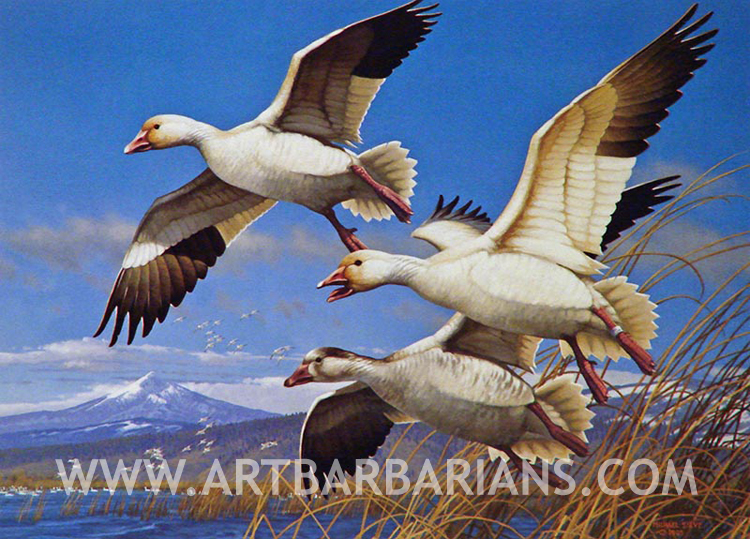 Wildlife art prints plus original paintings with a wide selection from ...