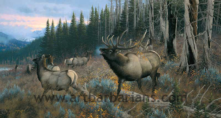 Wildlife art prints plus original paintings with a wide selection from ...