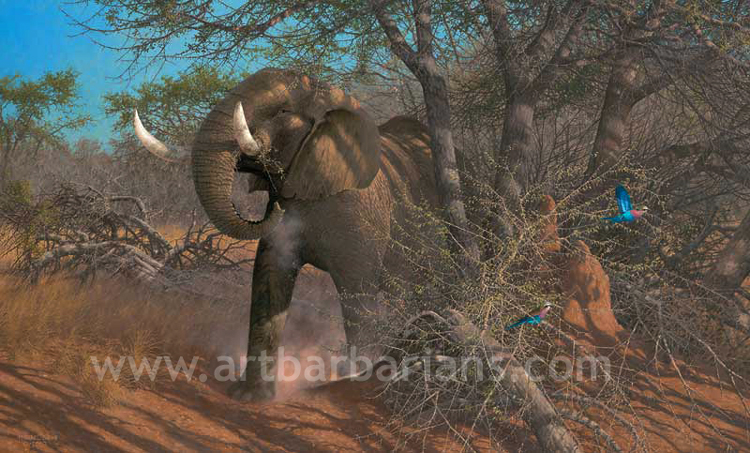 Wildlife art prints plus original paintings with a wide selection from ...