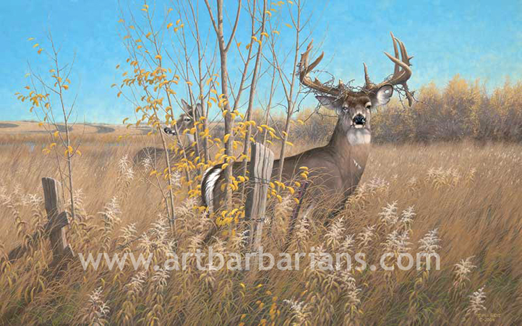 Wildlife art prints plus original paintings with a wide selection from ...