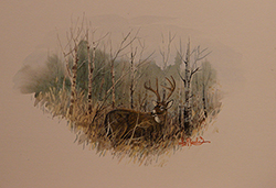 Wildlife art prints plus original paintings with a wide selection from ...